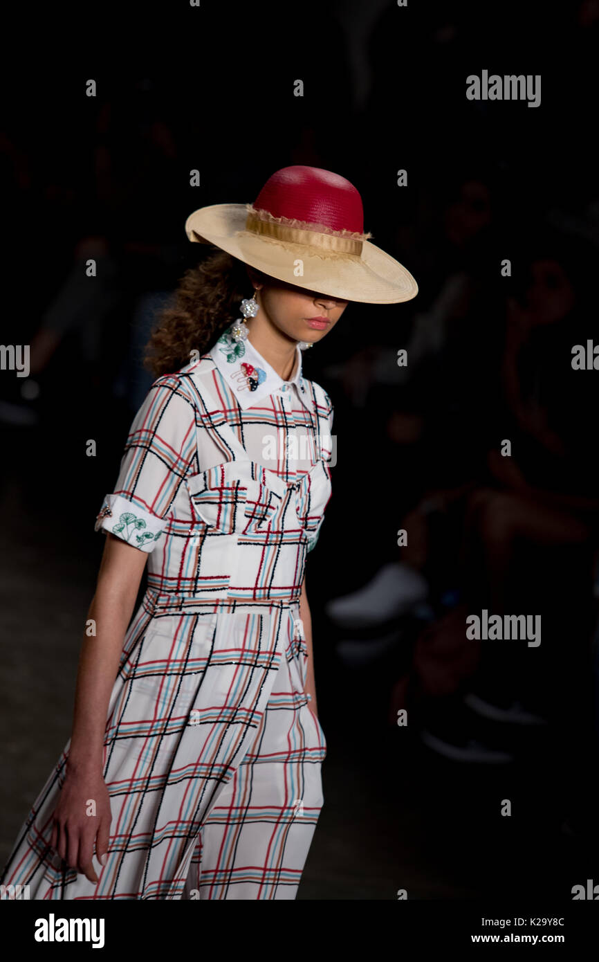 Sao Paulo, Sao Paulo, Brazil. 29th Aug, 2017. Pat Bo fashion show ...