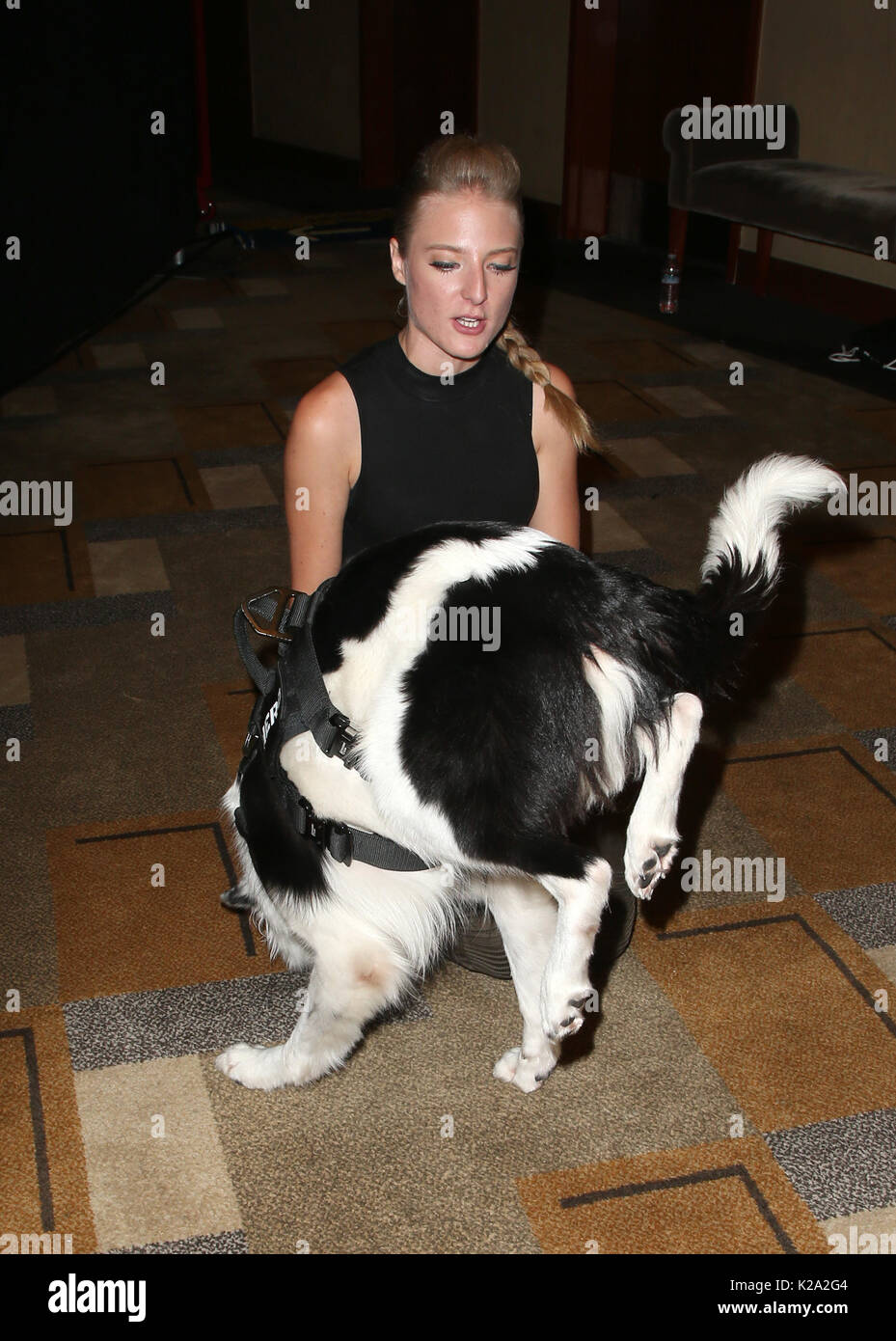 Hollywood, Ca. 29th Aug, 2017. Sara Carson, Hero, At NBC's 'America's ...