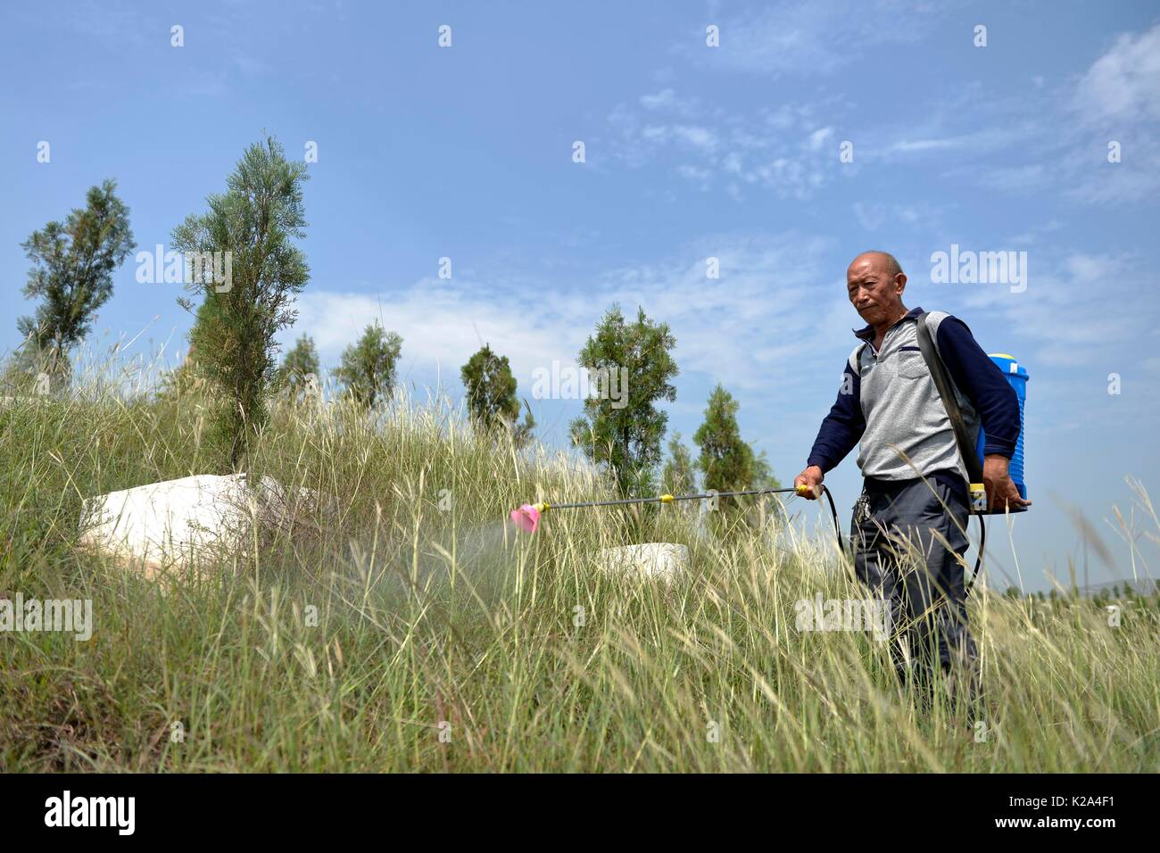 Xingtai, China's Hebei Province. 30th Aug, 2017. Hao Jingxiang, founder ...
