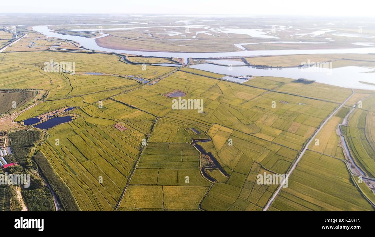 Mongolian rice hi-res stock photography and images - Alamy