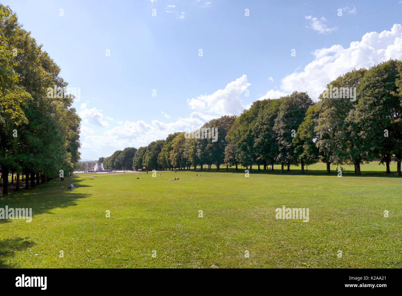 Big green empty park in scandinavia Stock Photo - Alamy