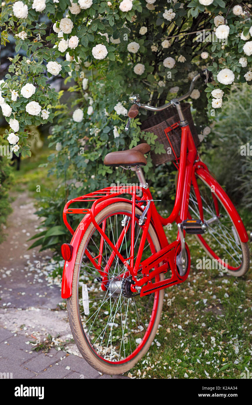 Rose wheel hi-res stock photography and images - Alamy