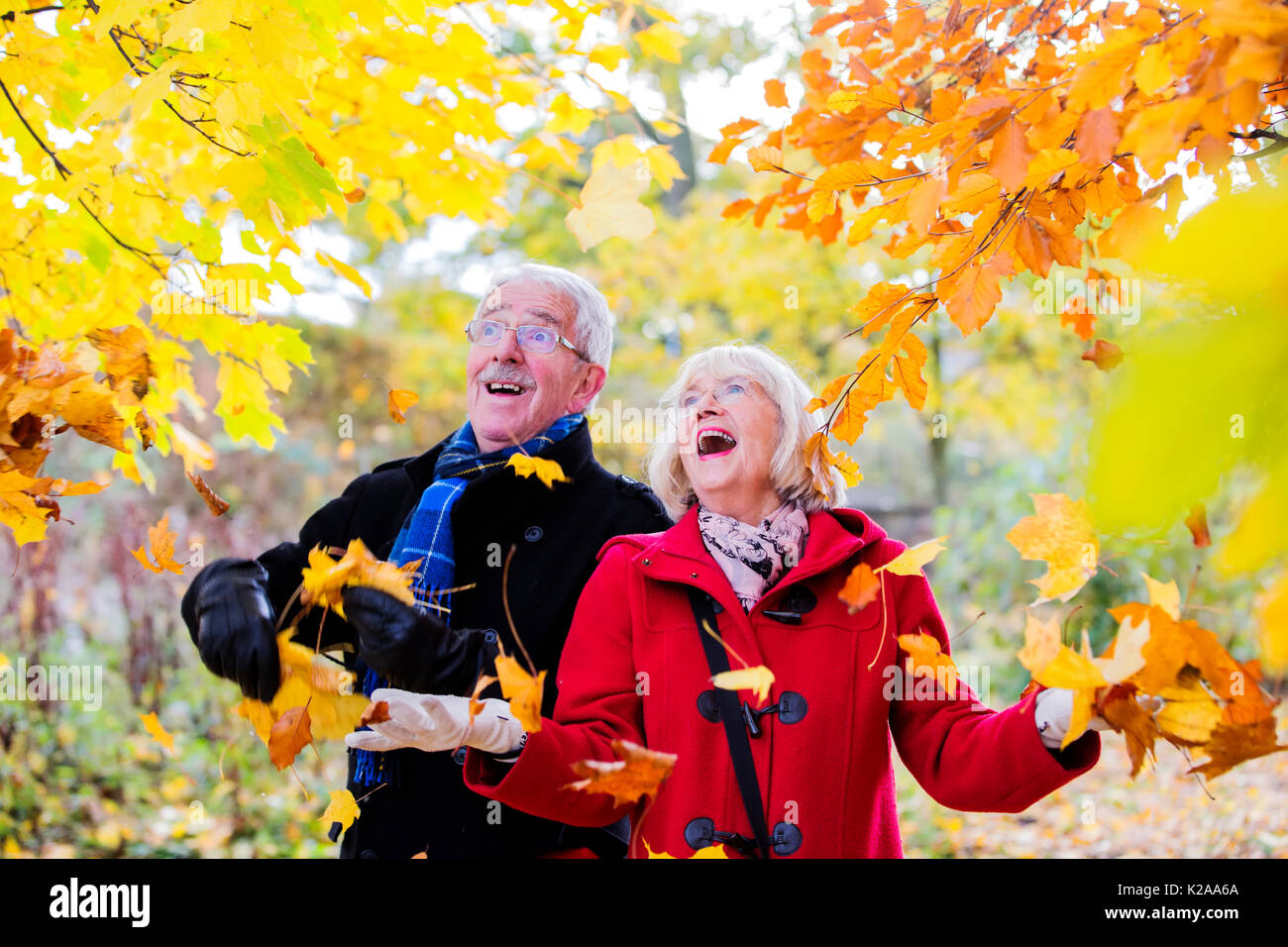 Senior couple are out on an autumn walk in the woods. They are picking ...