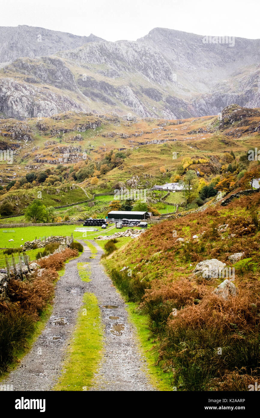 Including england and wales hi-res stock photography and images - Alamy