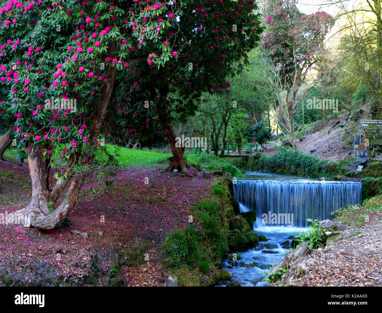 Menacuddle holy well hi-res stock photography and images - Alamy