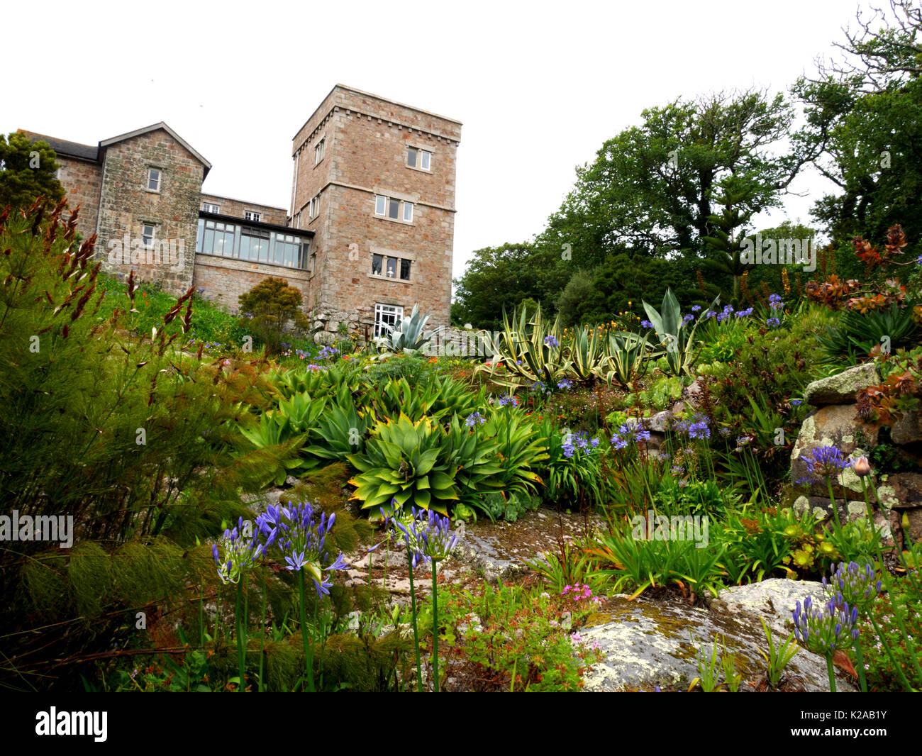 Succulents and sub-tropical plants in bloom by Tresco Abbey, Isles of ...