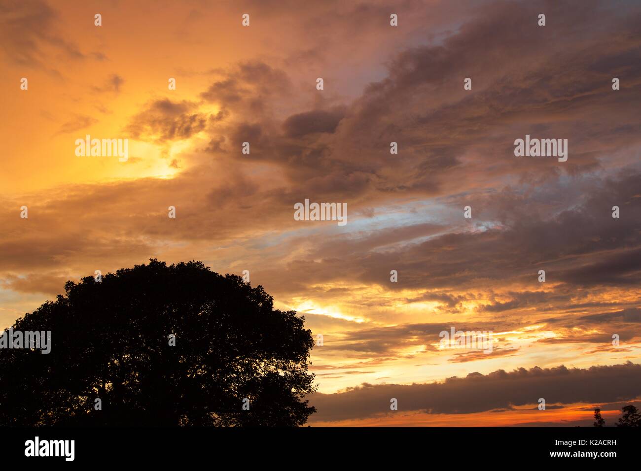 Amber Sunset High Resolution Stock Photography and Images - Alamy