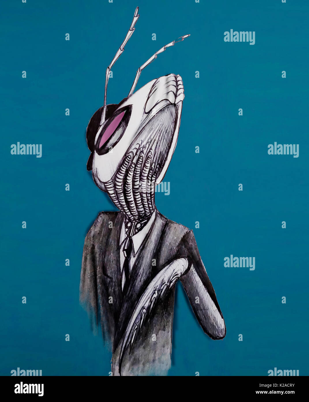 Scary Ant High Resolution Stock Photography and Images - Alamy