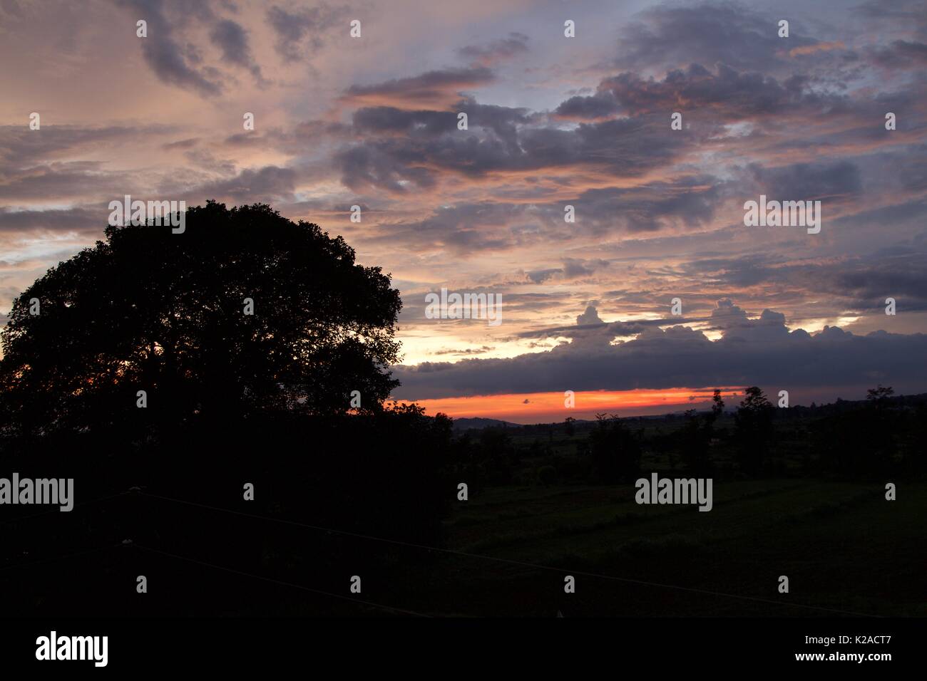 beautiful images captured of amber coloured evening sky with sunset and ...