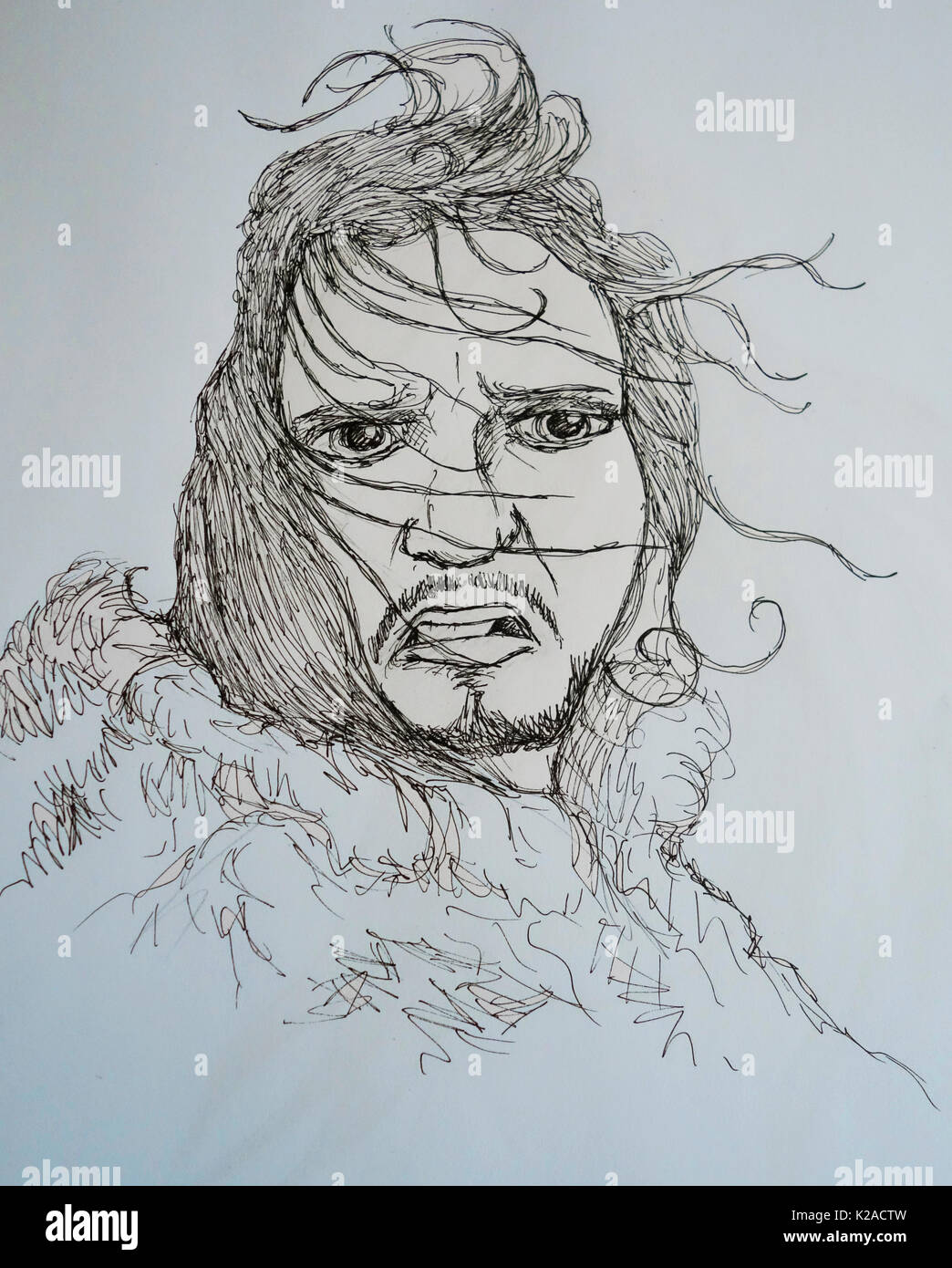 Wild Hair Beard Man High Resolution Stock Photography and Images - Alamy