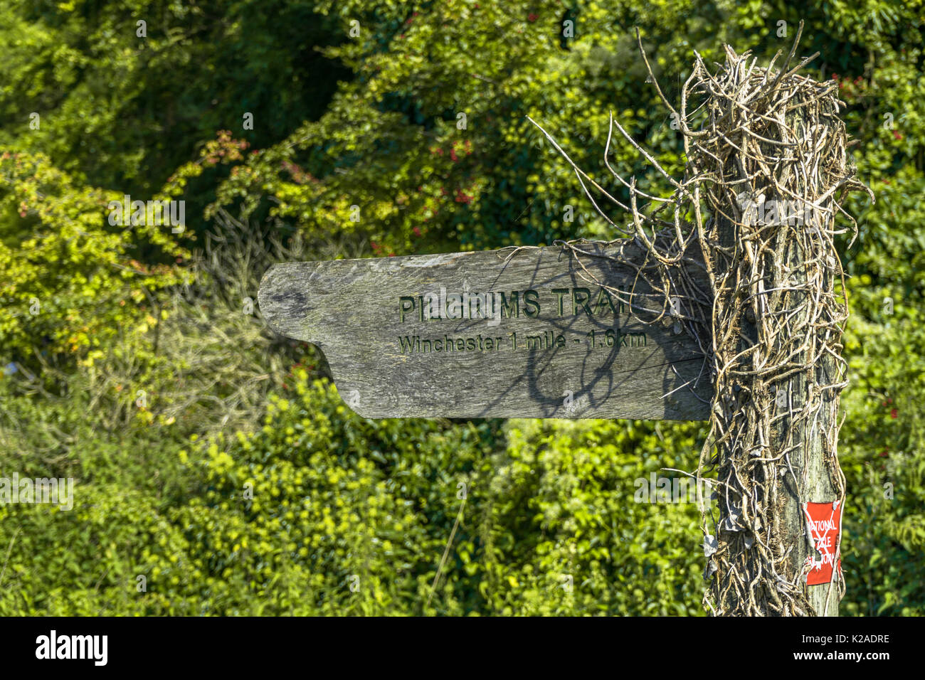Wooden sign post with direction for the Pilgrims Trail along the river ...