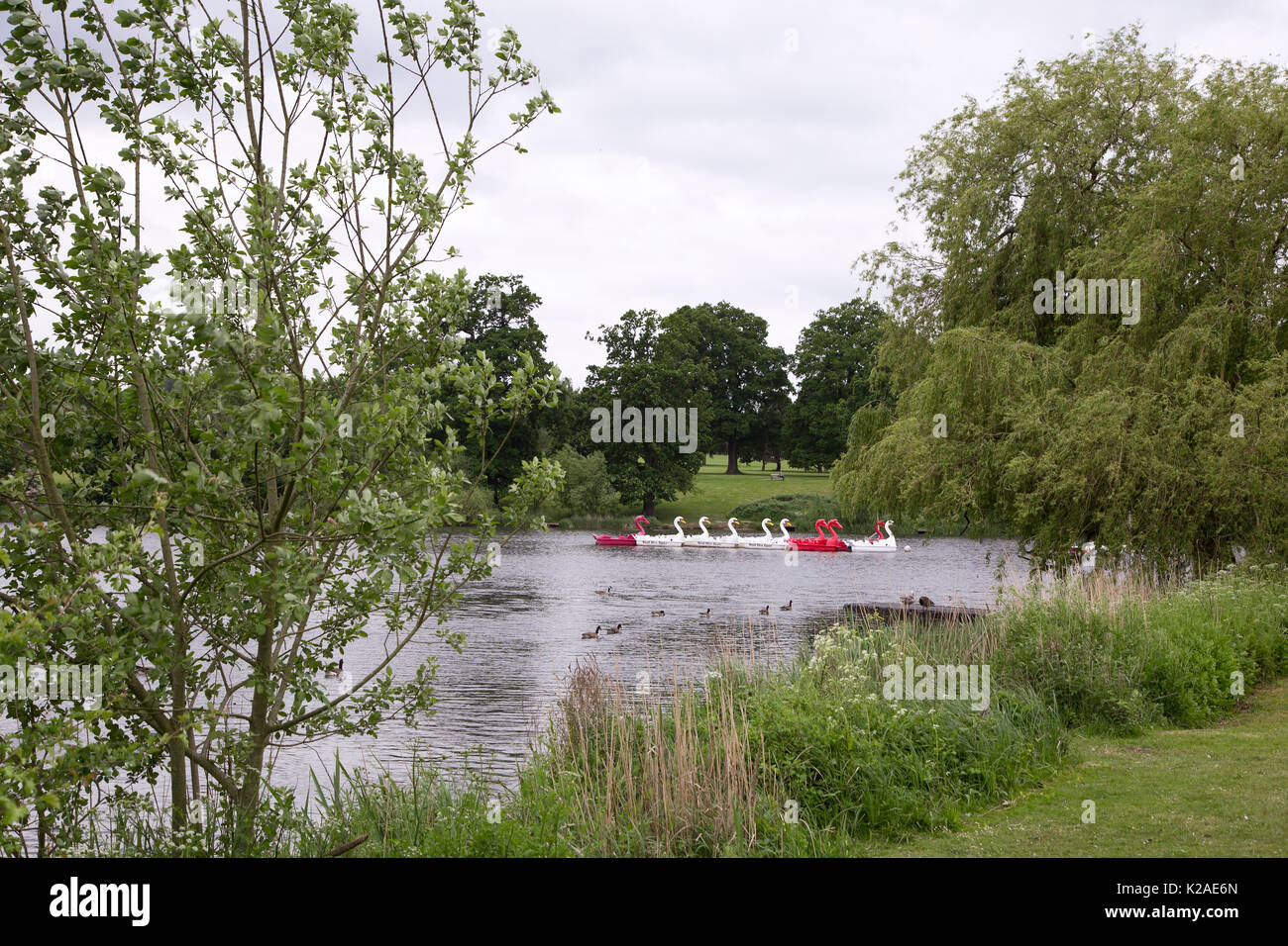 Beautiful lake in Kent Stock Photo - Alamy