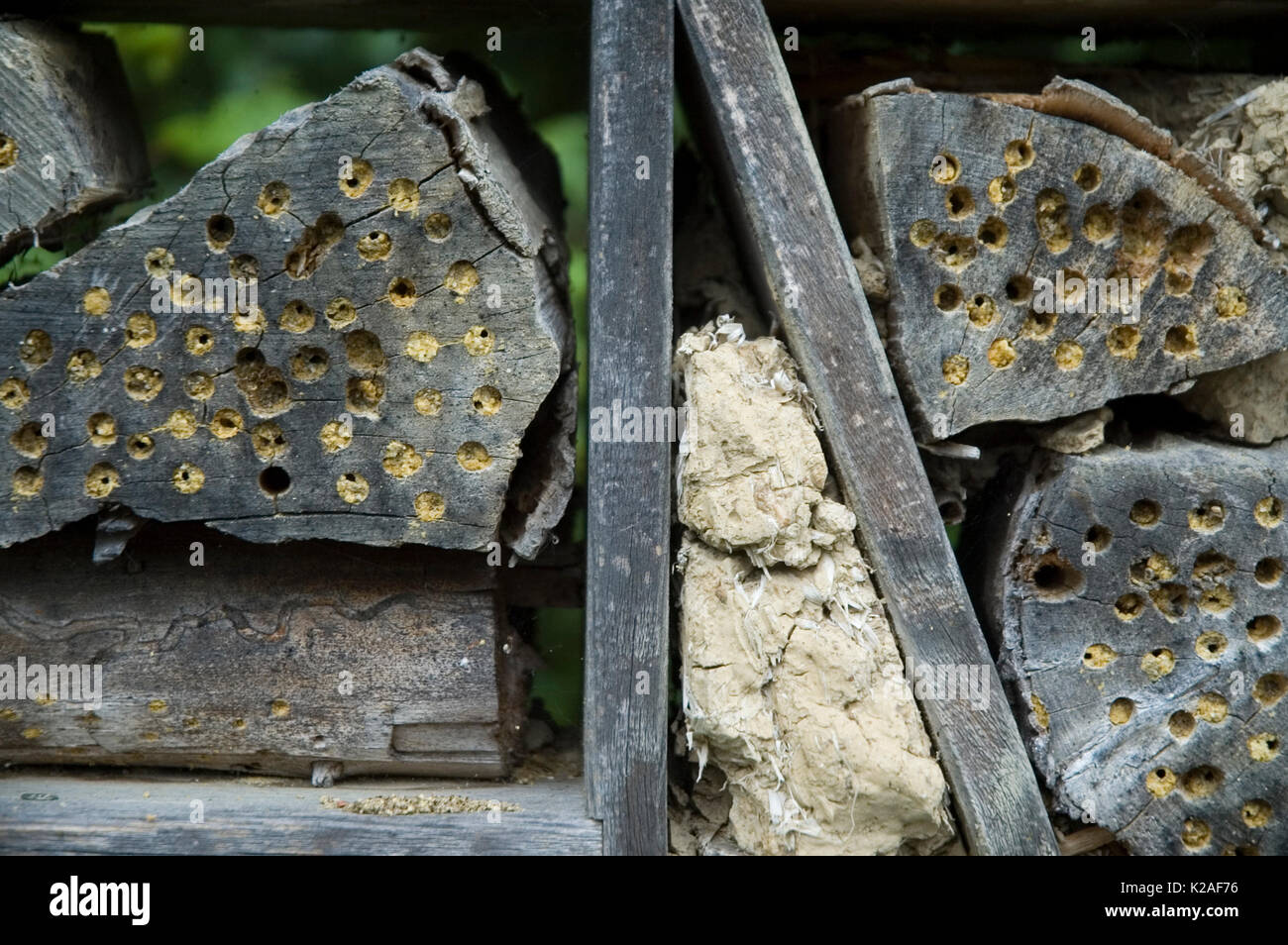 detail of an insect hotel Stock Photo - Alamy