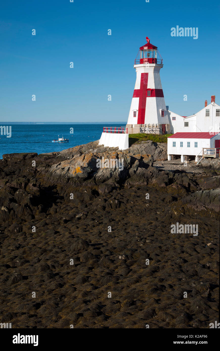 Head Harbor light, also referred to as East Quoddy Head lighthouse ...