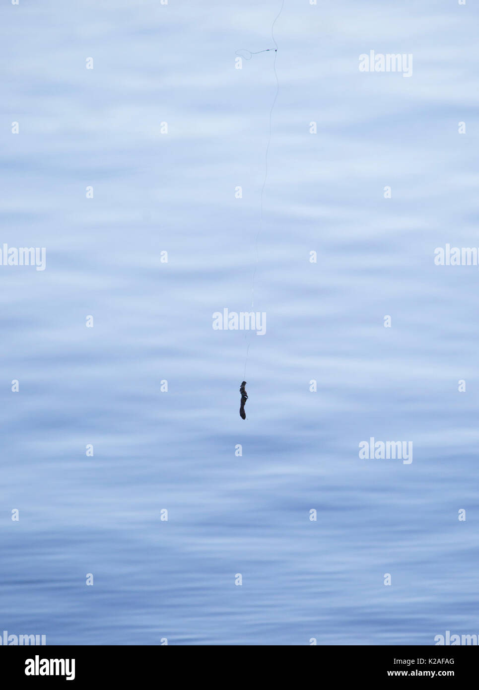 Lost fishing tackle hi-res stock photography and images - Alamy