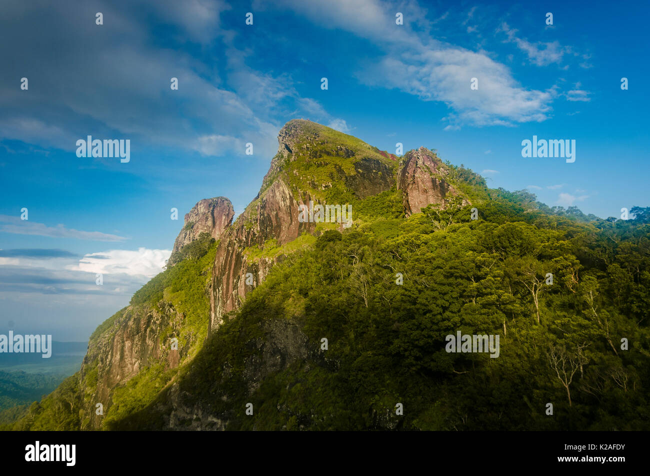 Palay Stock Photos & Palay Stock Images - Alamy