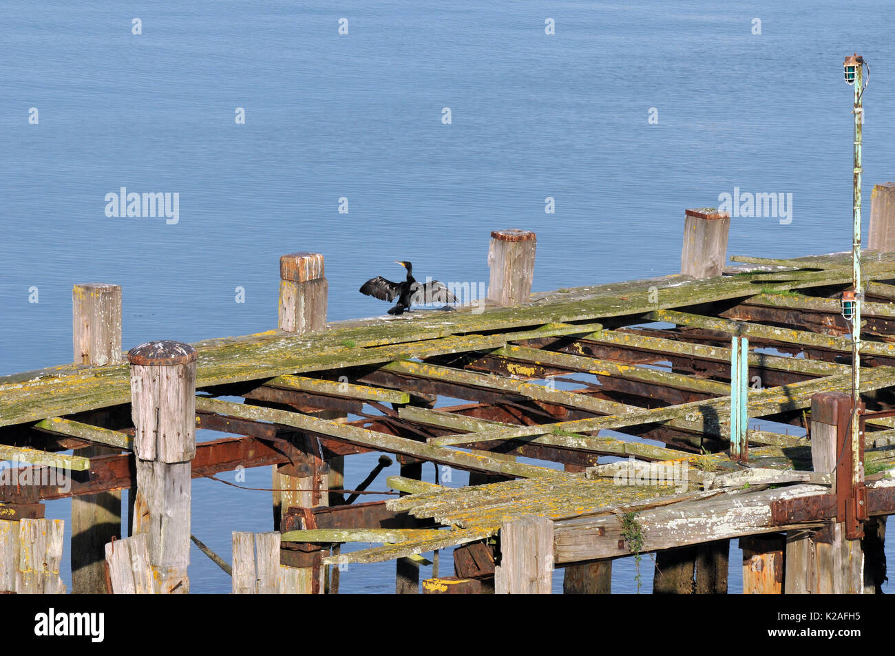 Holes in jetty hi-res stock photography and images - Alamy