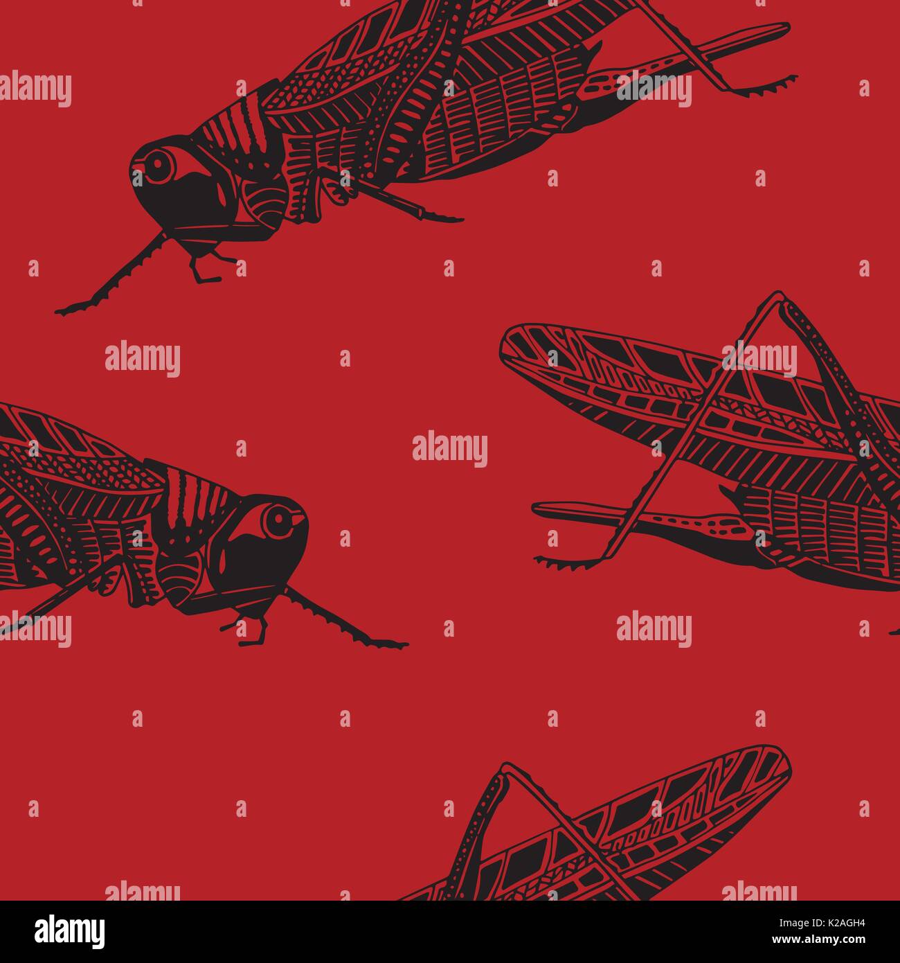 Grasshopper surface pattern Stock Vector Image & Art - Alamy