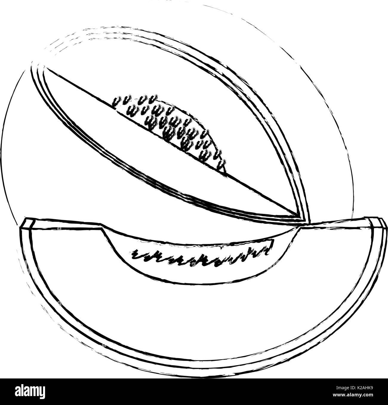 Cantaloupe fruits Black and White Stock Photos & Images - Alamy