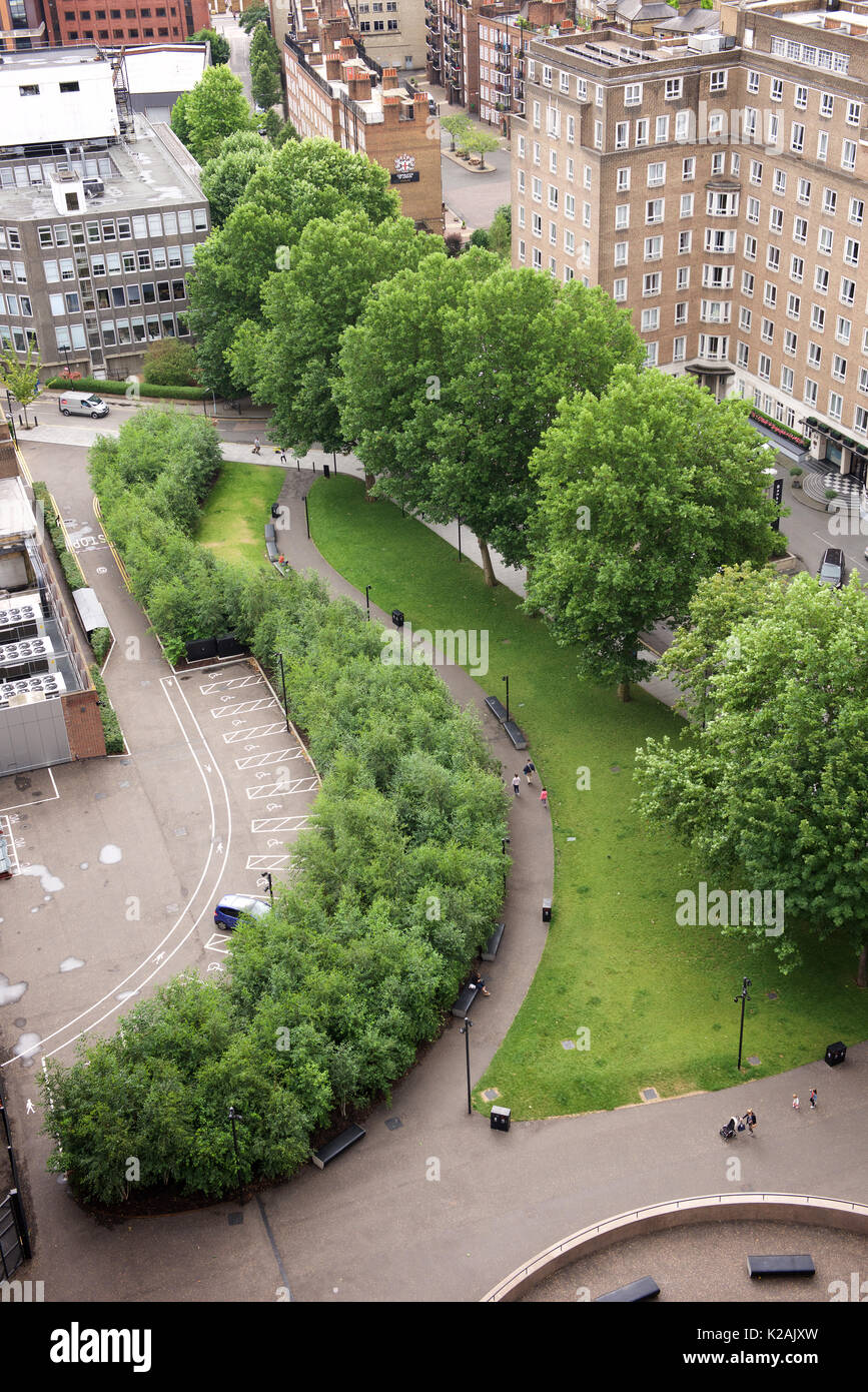 London trees hi-res stock photography and images - Alamy