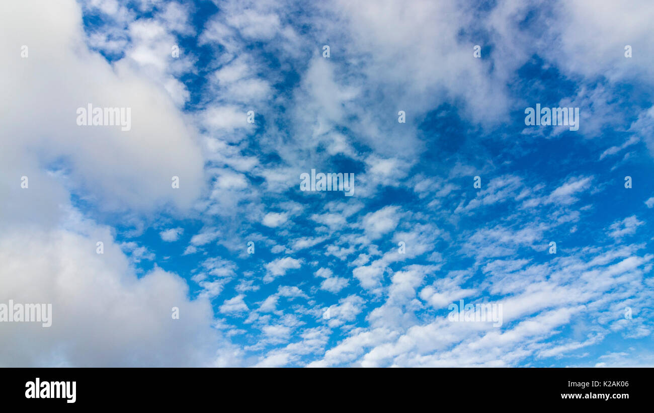 Beautiful puffy white cumulus clouds hi-res stock photography and ...