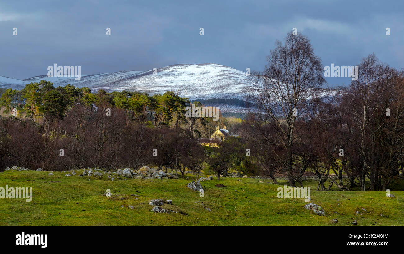 Kincraig highlands scotland hi-res stock photography and images - Alamy