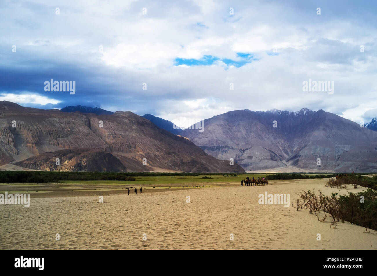 Hunder Sand Dunes of Nubra Valley in Leh Ladakh, Jammu and Kashmir ...