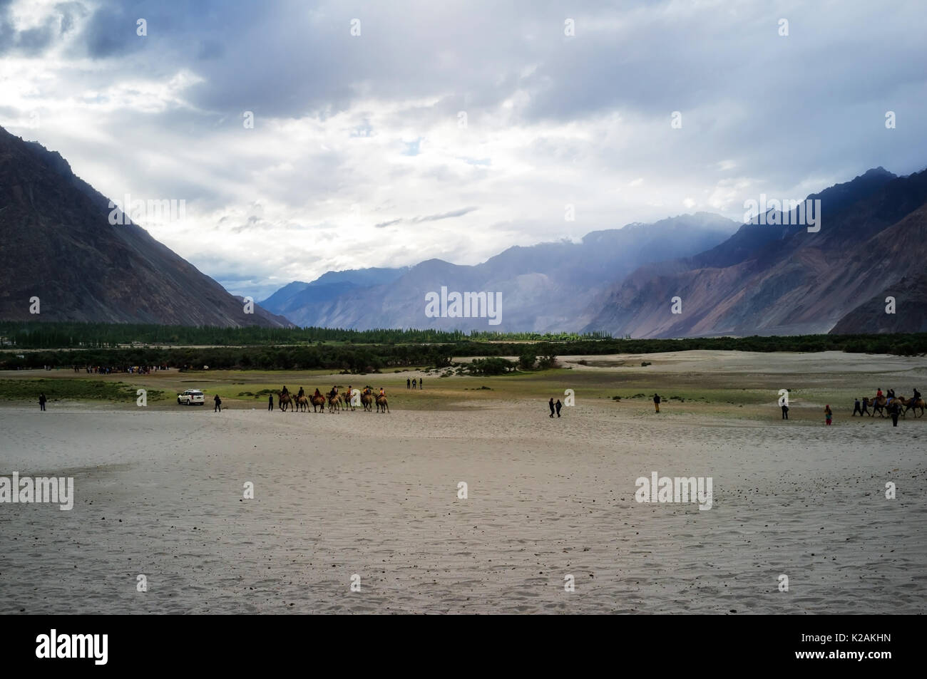 Hunder Sand Dunes of Nubra Valley in Leh Ladakh, Jammu and Kashmir ...