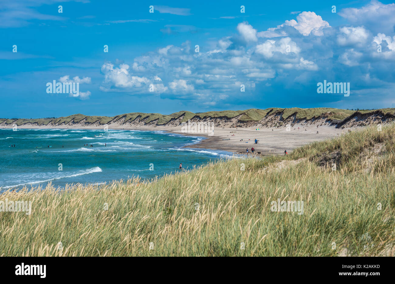 North sea beach, Jutland coast in Denmark Stock Photo - Alamy