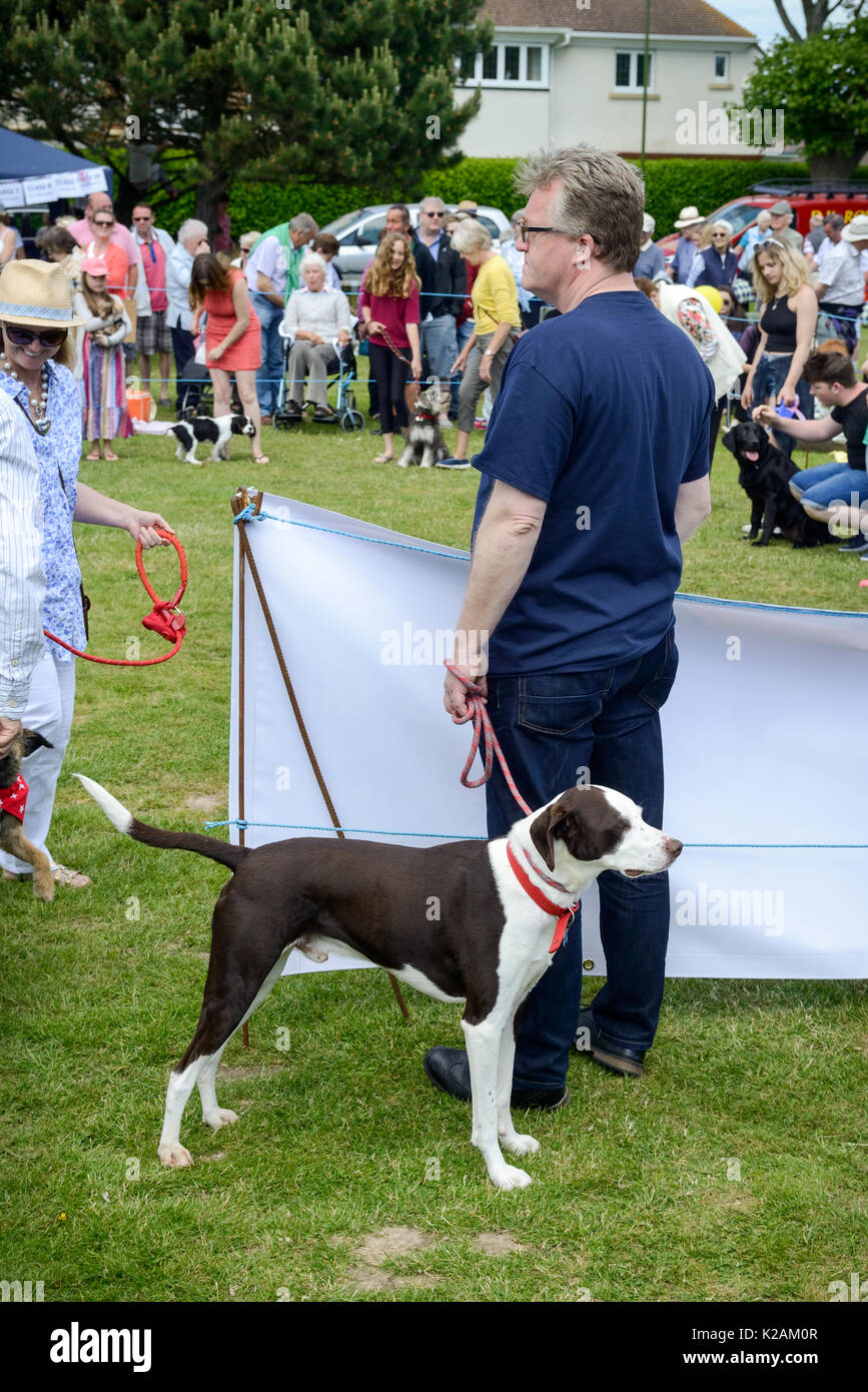 A man and his dog watch a village dog show in a park in England Stock ...