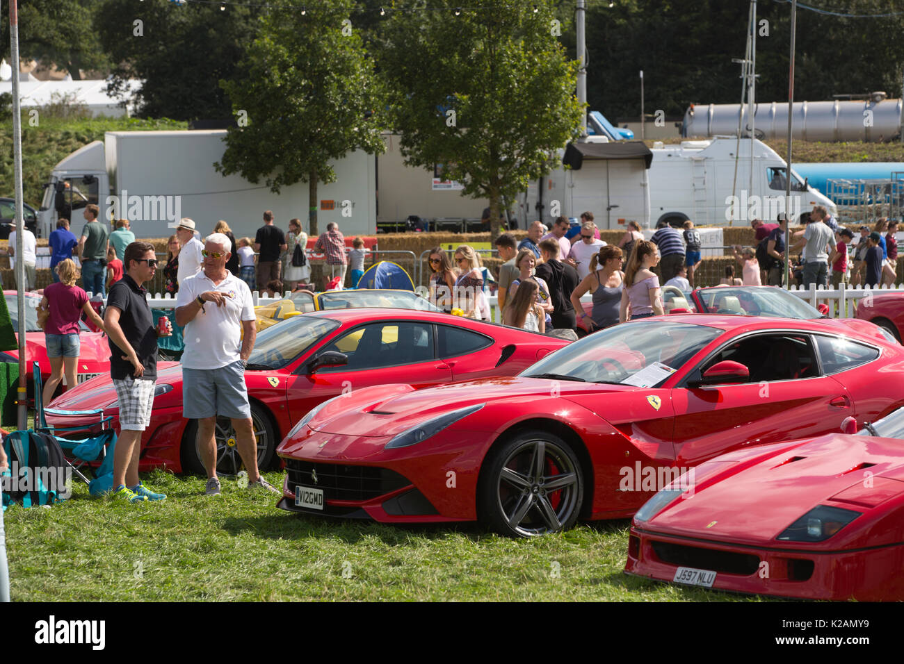 Carfest hi-res stock photography and images - Alamy