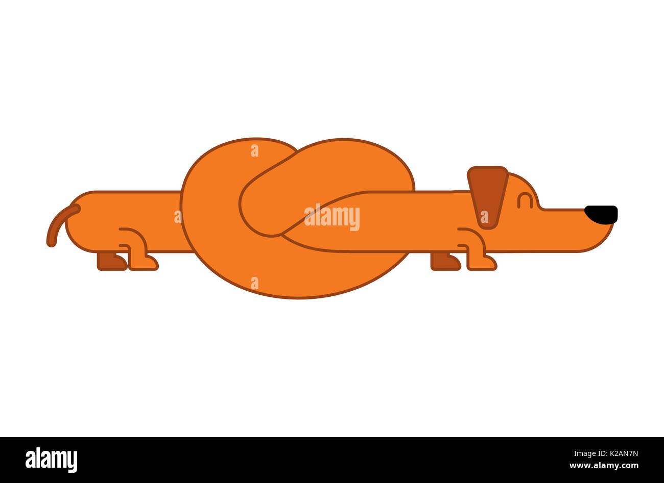Dachshund Knot Long Dog Isolated. gaunt Home Pet Stock Vector Image ...