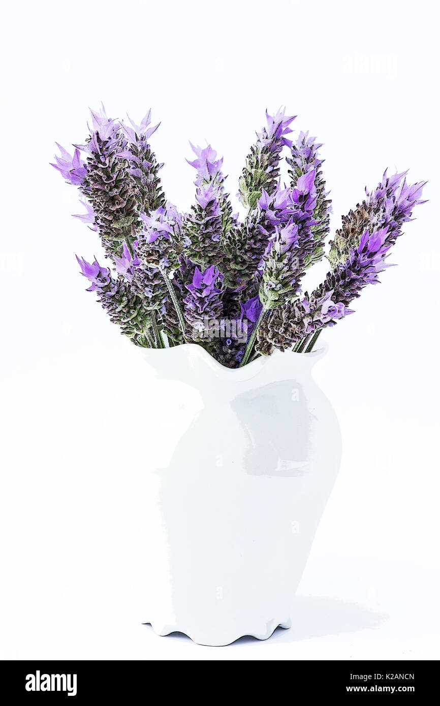 Purple lavender flowers in a vase hi-res stock photography and images ...
