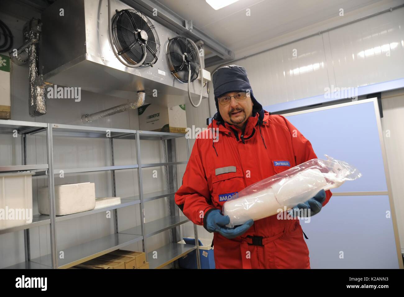 Ice core sample hi-res stock photography and images - Alamy
