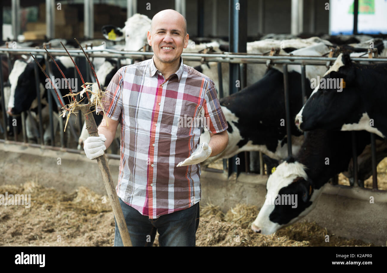 Portrait of mature farmer with pitchfork in livestock barn Stock Photo ...