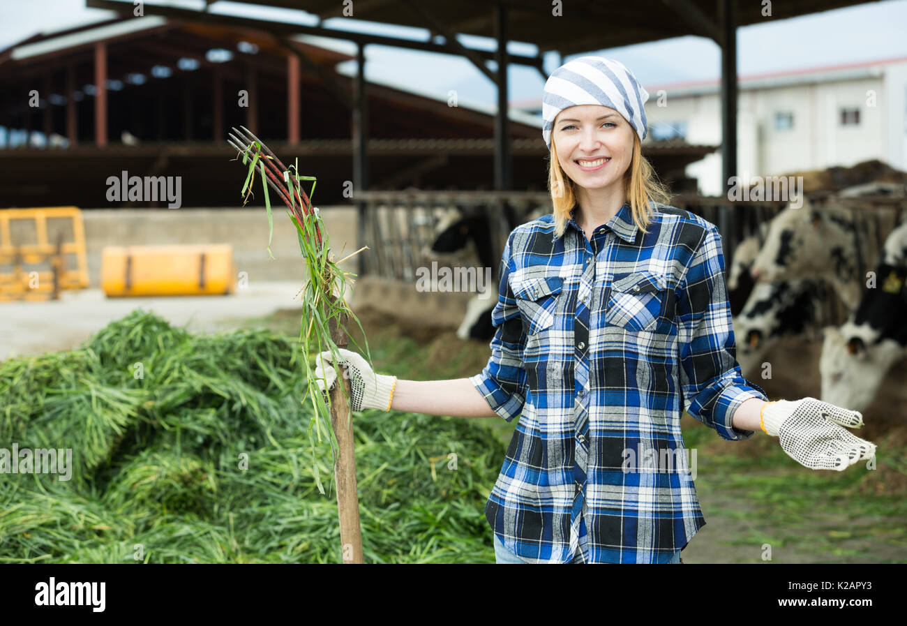 Female cattle-farm worker preparing grass for feeding cows Stock Photo ...