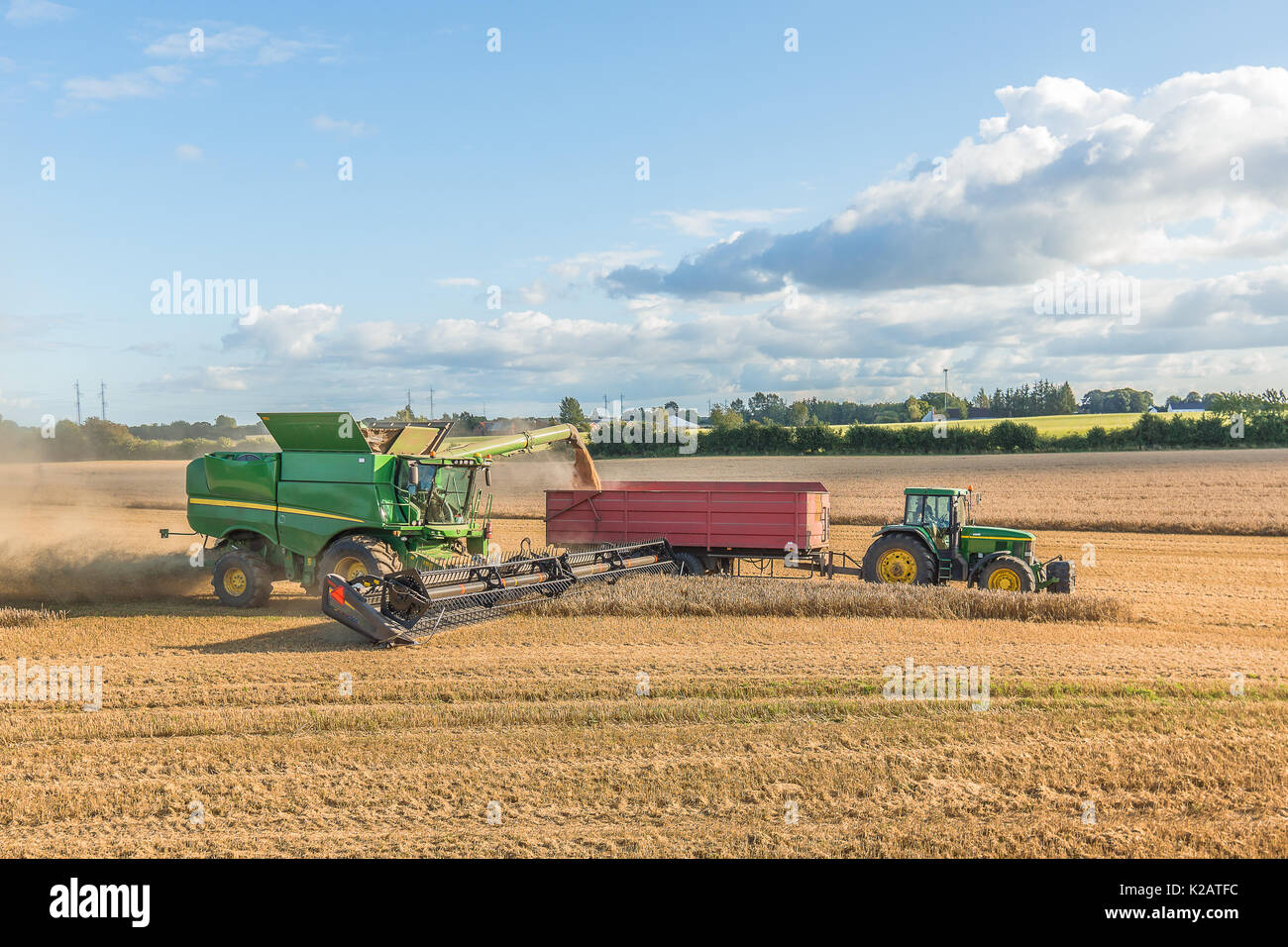 Harvesting in a yellow field by tractor and combine, Borkop, Denmark ...