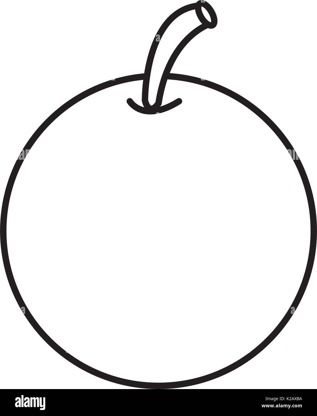 outline orange fruit citrus nature food vector illustration Stock ...