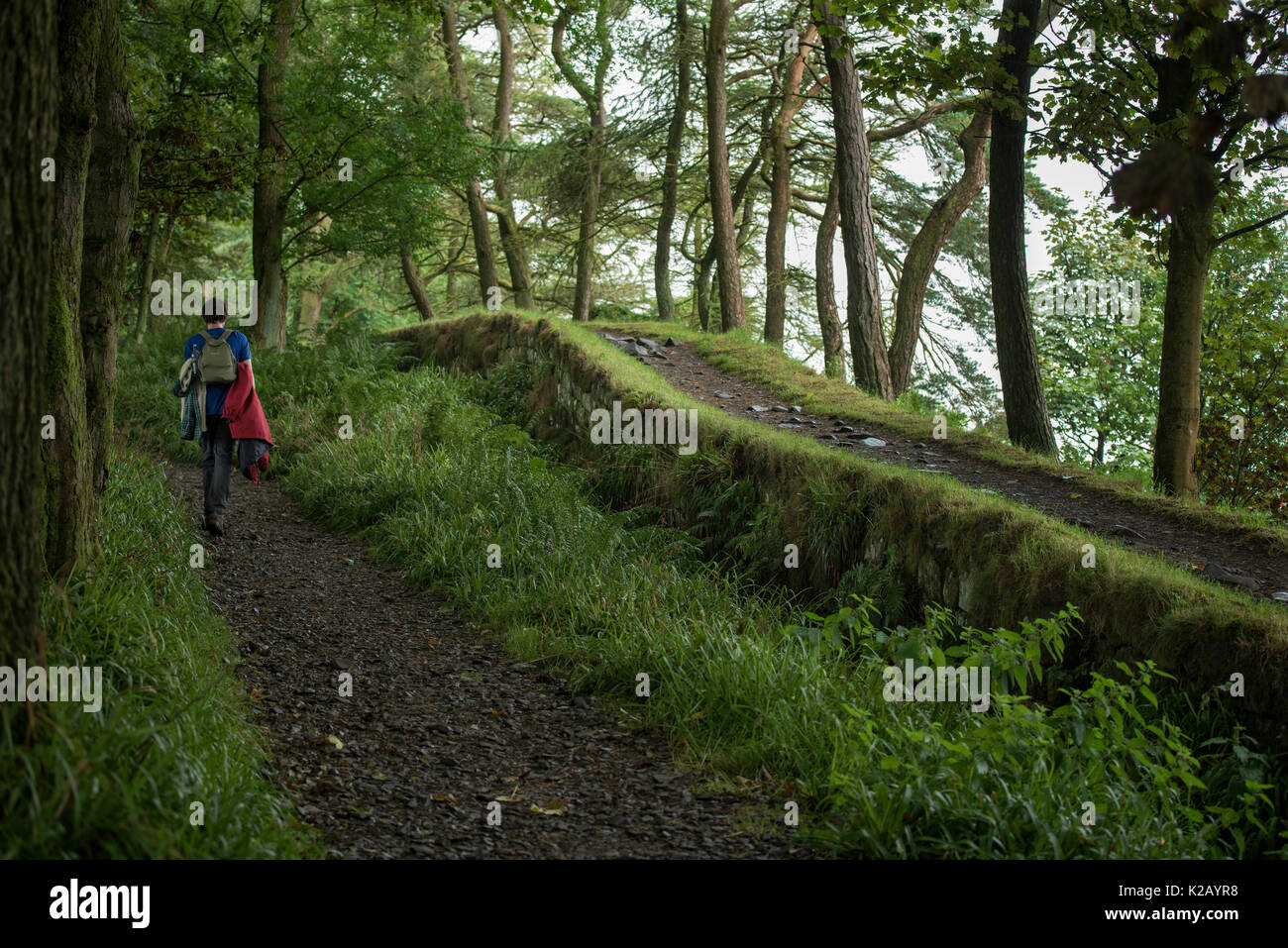 Picts wall hi-res stock photography and images - Alamy