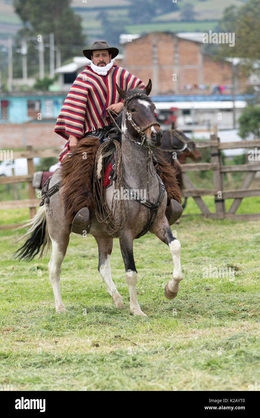 June 3, 2017 Machachi, Ecuador: cowboy wearing furry chaps and ...