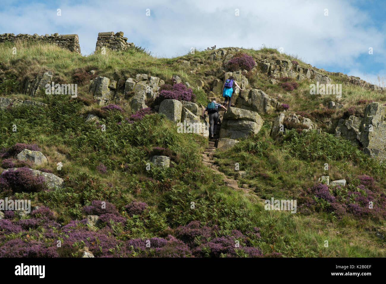 Hadrian's Wall, Northumberland, England. August 2017 Wikipaedia ...