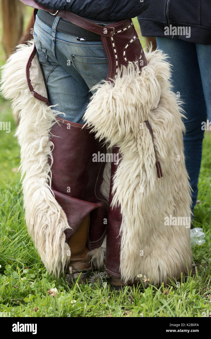 June 3, 2017 Machachi, Ecuador: chaps worn by Andean cowboys are made ...