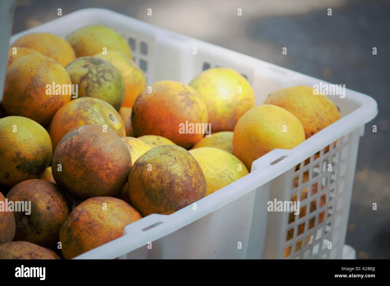 Fruits in the tradisonal market , Malang Indonesia Stock Photo - Alamy