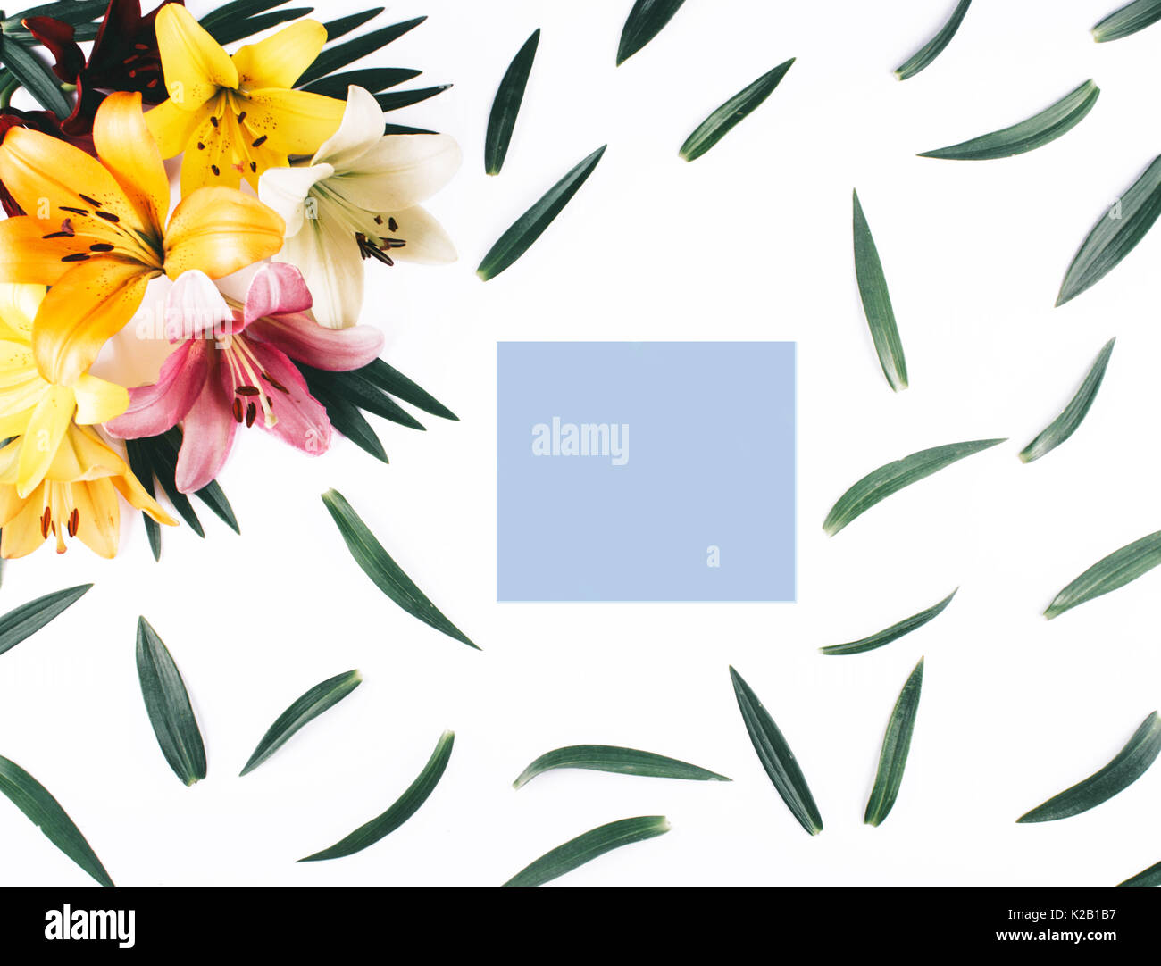 Beautiful lilies with leaves on white background. Top view with place ...