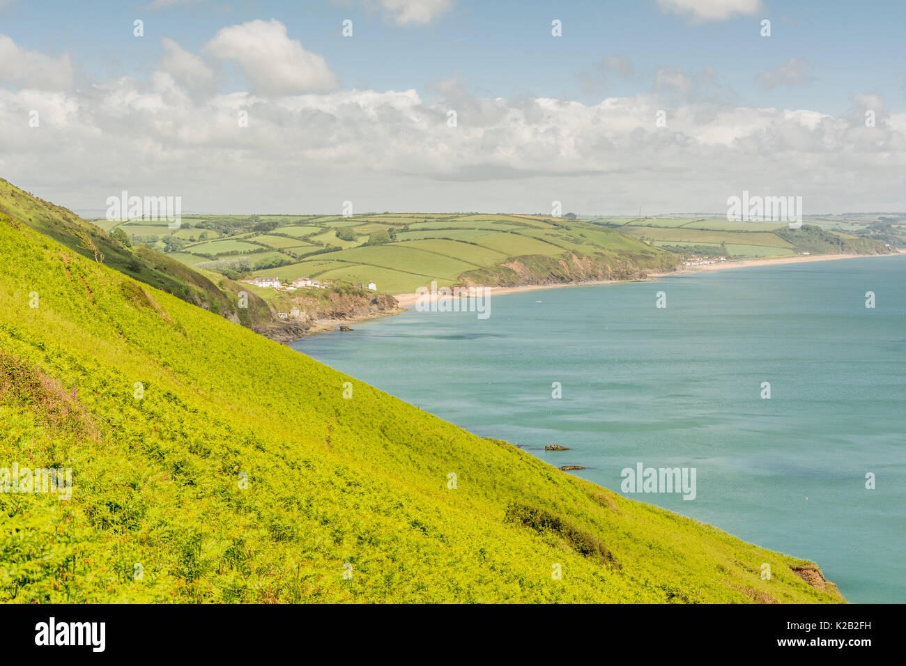 Start Bay, Devon, England, UK Stock Photo - Alamy