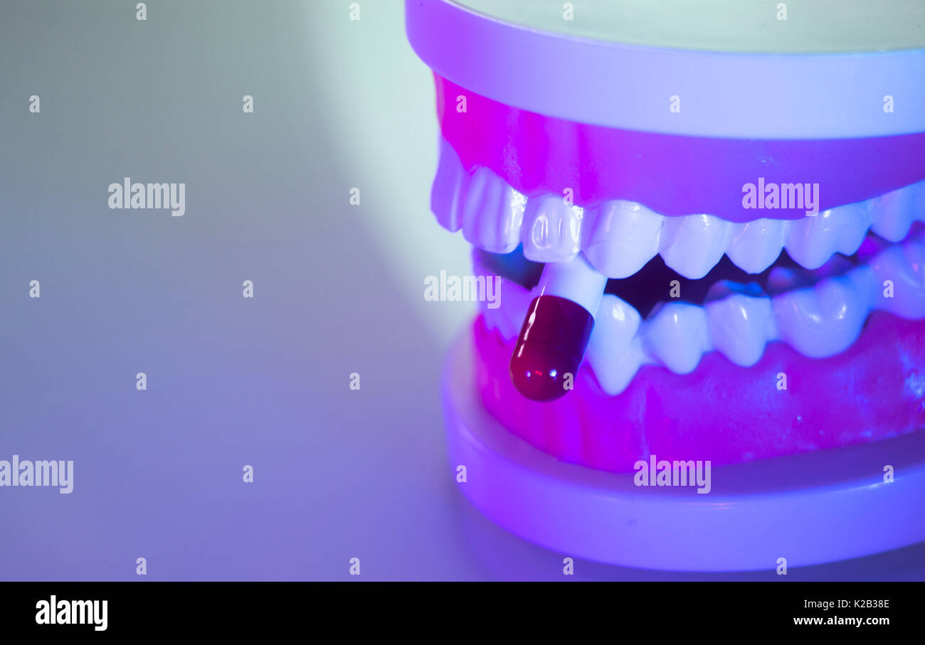 Dental teeth, mouth, gums dentists teaching model showing each tooth ...