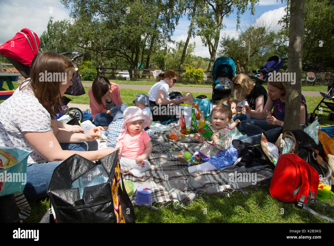 A group of NCT mums meeting up for a picnic with their babies Stock ...