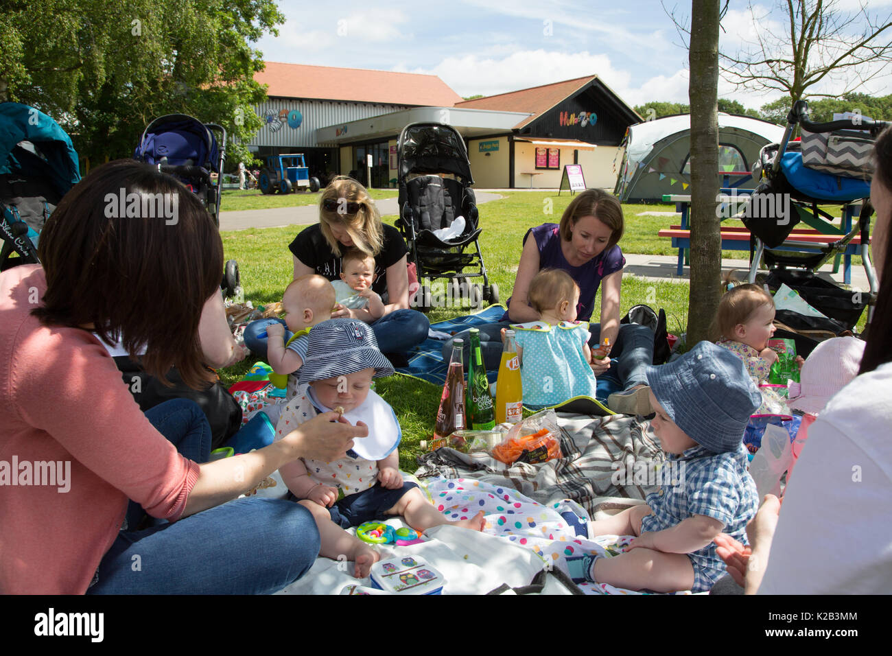 A group of NCT mums meeting up for a picnic with their babies Stock ...