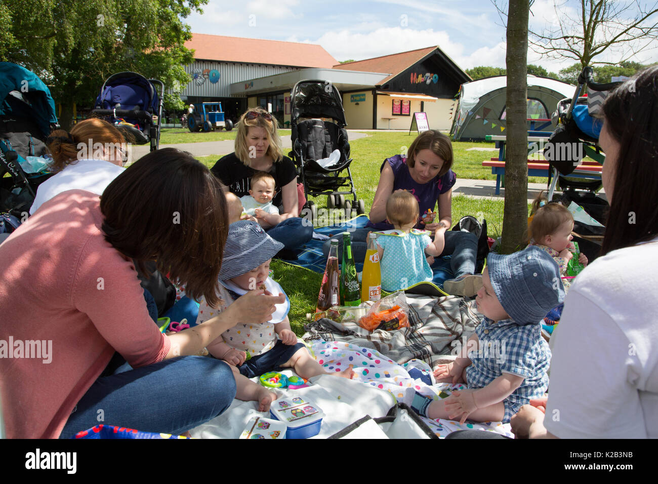 A group of NCT mums meeting up for a picnic with their babies Stock ...