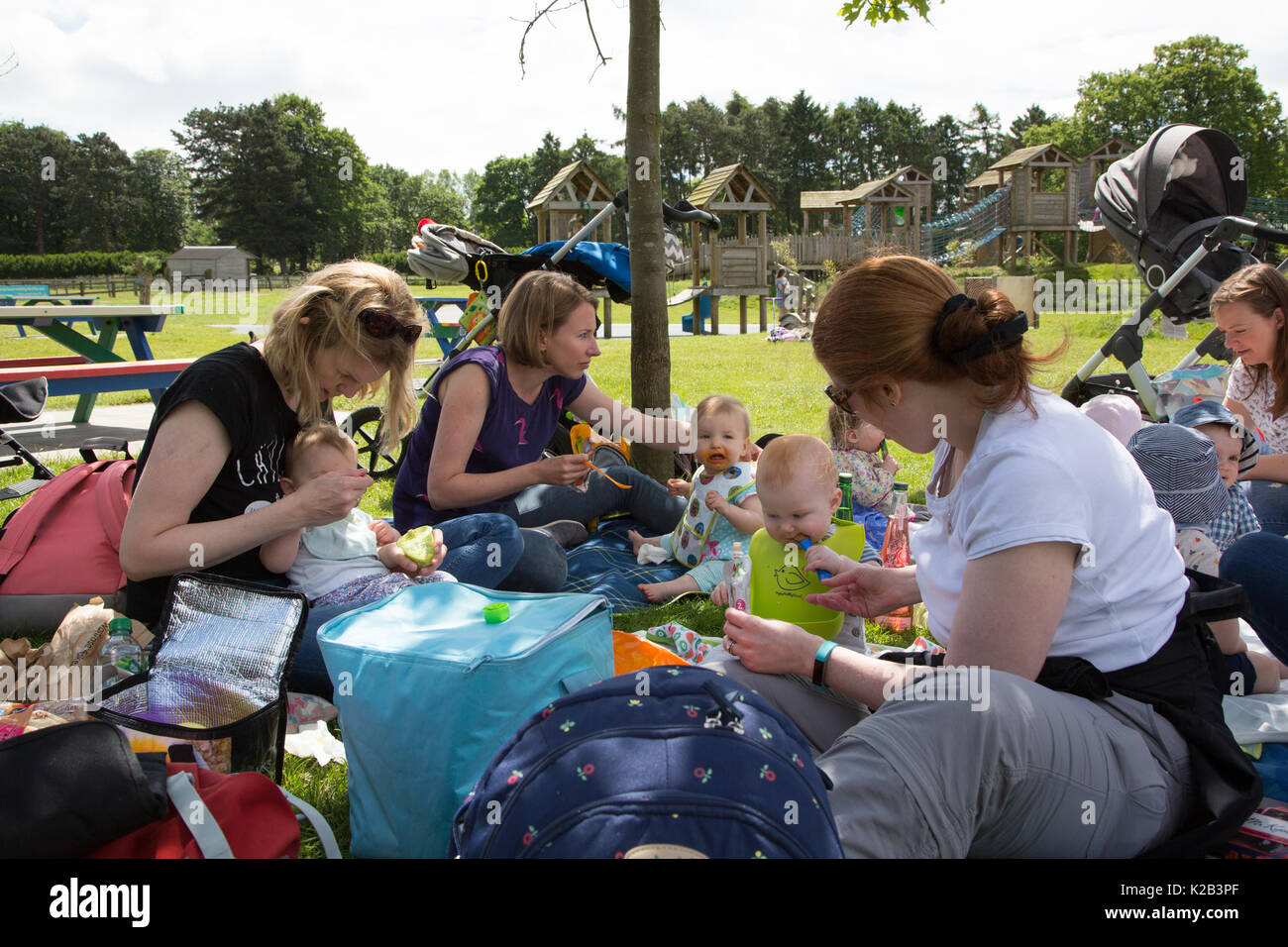 A group of NCT mums meeting up for a picnic with their babies Stock ...